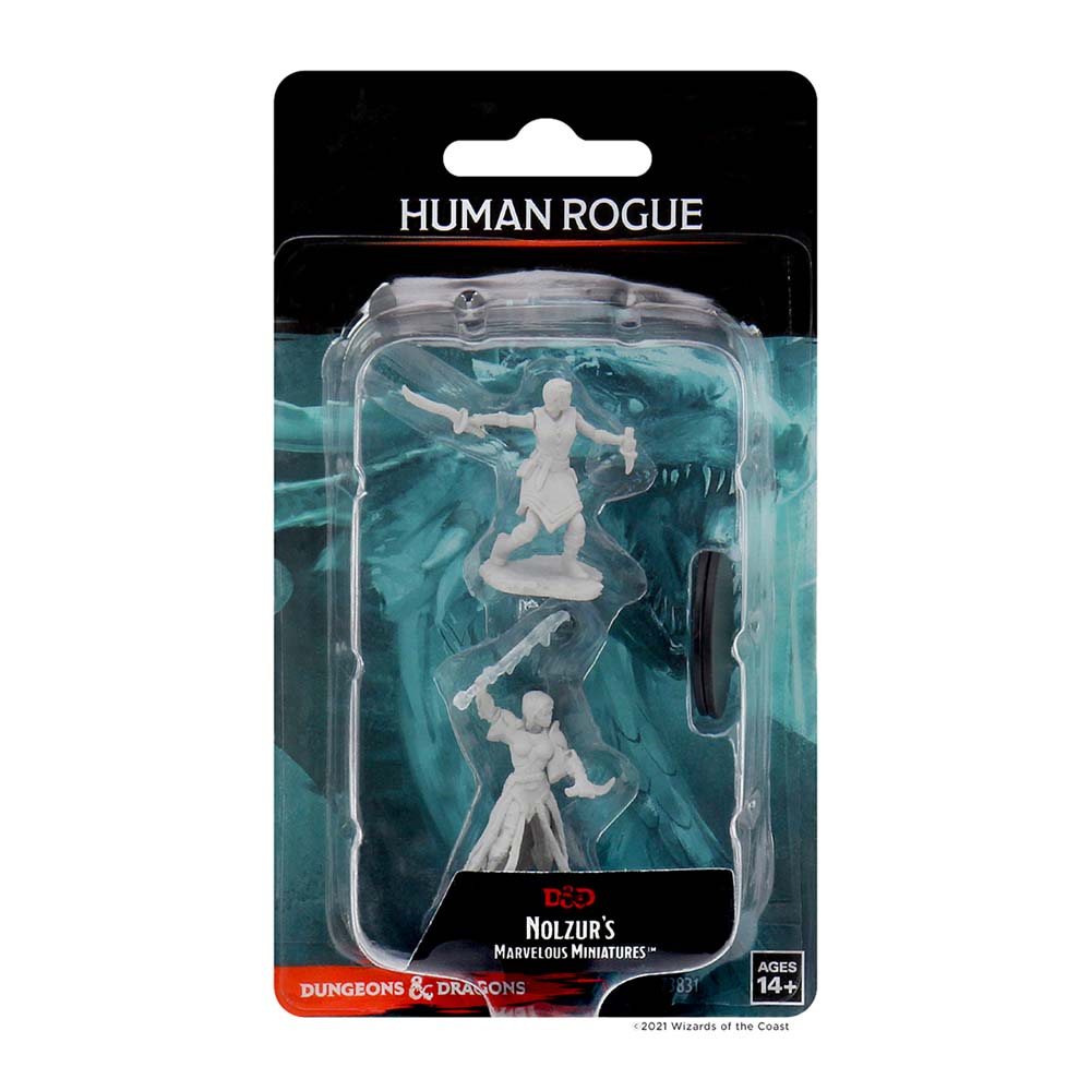 WizKids 73831 D&D Nolzurs Marvelous Miniatures Female Human Rogue ...